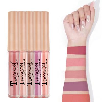 China New 5Pcs/Set Waterproof Lipstick Sexy Vampire Lip Stick Matte Velvet Lipsticks Lips Makeup Cosmetics for sale