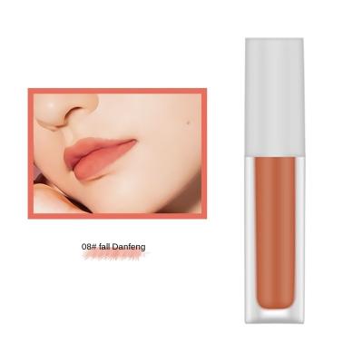 China OEM Private Label Long Lasting New  Private Label Long Lasting Easy Coloring  Moisturizing Velvet Lip Gloss for sale