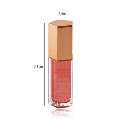 China 2021 OEM Private Label  Best Selling Multi Colors  Lip Gloss Long Lasting Waterproof Liquid Lipstick Easy Coloring Makeup for sale