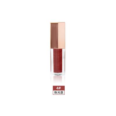 China Dropshipping OEM Private Label Multicolors Waterproof Vegan Makeup  Matte Silk Lip Gloss Long Lasting Liquid Lipstick for sale