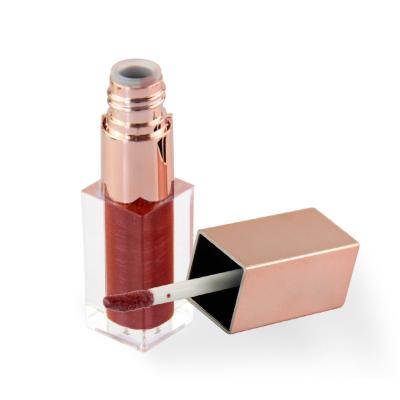 China Dropshipping OEM Private Label Multicolors Waterproof Vegan Makeup  Matte Silk Lip Gloss Long Lasting Liquid Lipstick for sale