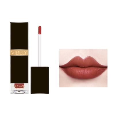 China 5 colors Dropshipping Dazzle color charm velour mist face lip gloss moisturizing lip stick for sale