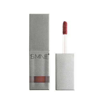 China 2021 Make Up  Arrival Private Label Popular 5 colors lip gloss long lasting waterproof matte liquid lipsick for sale