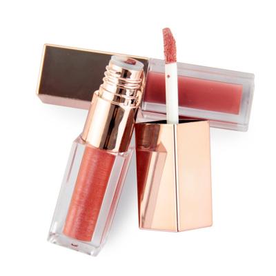 China OEM Private Label Multi-color Waterproof Vegan Makeup  Matte Silk Lip Gloss Long Lasting Liquid Lipstick for sale