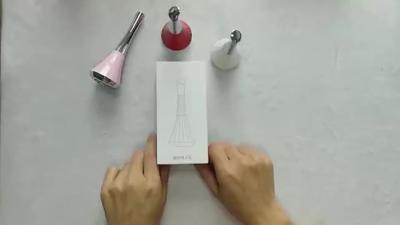 China 2021 New Beauty Equipment OEM Home Use Face Beauty Equipment Anti-aging Facial Massager Facial Device for sale