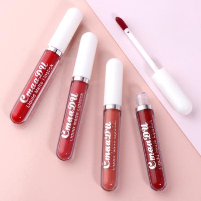 China NEW Matte Nude Liquid Lipstick Waterproof Vegan Cosmetics Private Label Lip Gloss for sale