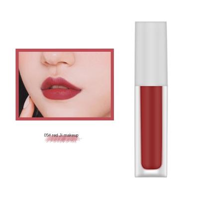 China OEM Private Label Long Lasting New  Private Label Long Lasting Easy Coloring  Moisturizing Velvet Lip Gloss for sale
