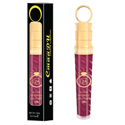 China Wonderful Waterproof Long Lasting Wholesale Matte Lipstick Makeup Pearly Lip Glaze for sale