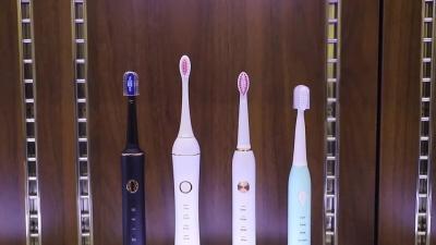 China New Product Sonic Electric Toothbrush Travel Portable Ultrasonic Electric Toothbrush for sale