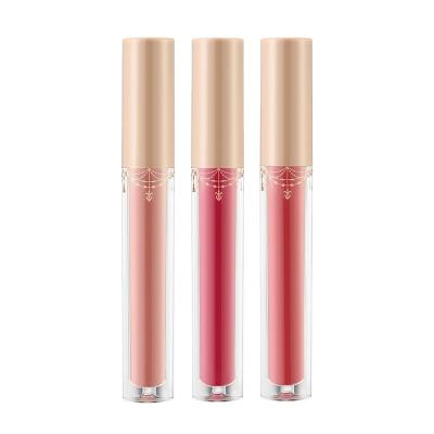 China Wonderful OEM Private Long Lasting  Waterproof rose pink lip gloss High Quality  luxury liquid lipstick lip glaze for sale