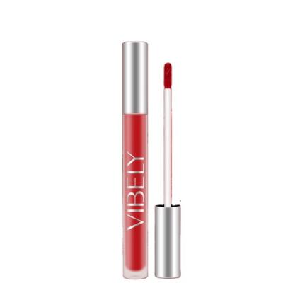 China 2021 Cosmetic Wholesale Oem No Logo Custom Make Your Own Logo Private Label Waterproof Matte Lipgloss for sale