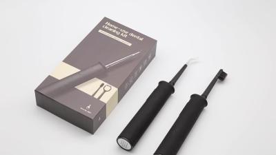 China 2021 Hot Selling Oral Cleaning Care Tools Rechargeable Ultrasonic Dental Tooth Brush Sonic Teeth Cleaner for Homeuse for sale