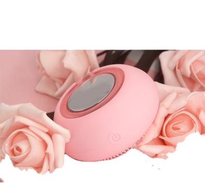 China HOT Factory direct sale rechargeable electric silica gel face cleanser home beauty facial brush LED light therapy instrument for sale