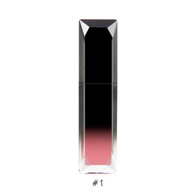 China Dropshipping Makeup Accept Small MOQ Customization New Cosmetics Glitter Waterproof Moisturizing Velvet Lip Glaze for sale