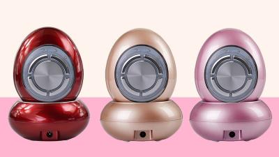 China 2021 OEM Popular Wholesale RF Radio Frequency Facial Machine Home Use for sale