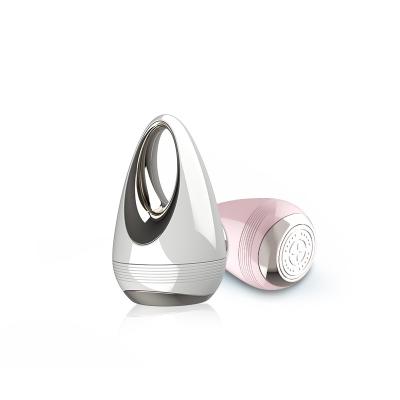 China OEM New Water Drop Ion Facial Beauty Apparatus Home Portable Facial Facial Massage Home Beauty Instrument for sale