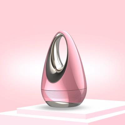 China OEM New Water Drop Ion Facial Beauty Apparatus Home Portable Facial Facial Massage Home Beauty Instrument for sale