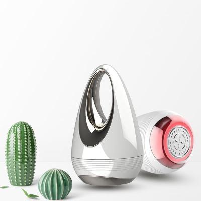 China New Water Drop Ion Facial Beauty Apparatus Home Portable Facial Facial Massage Home Beauty Instrument for sale