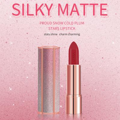 China 2021 Factory Low Price OEM / ODM Cosmetic Waterproof Multicolored Matte Lipstick Makeup for sale