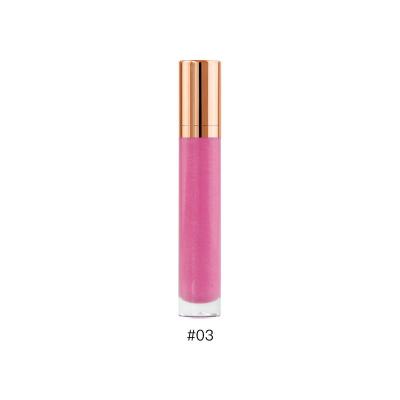 China New Pretty 2021 OEM  Private Label Service Matte Nonstick Cup Lip Gloss Long Lasting Mist Liquid Lipstick Waterproof  lip gloss for sale