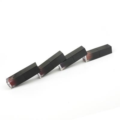 China Pretty 2021 Hot Selling 4 Color Non-stick Lip Gloss Long-lasting Private Label Matte Lip Gloss Low Moq for sale