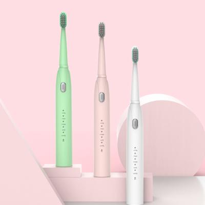 China rechargeable sonic electric toothbrush private label for sale