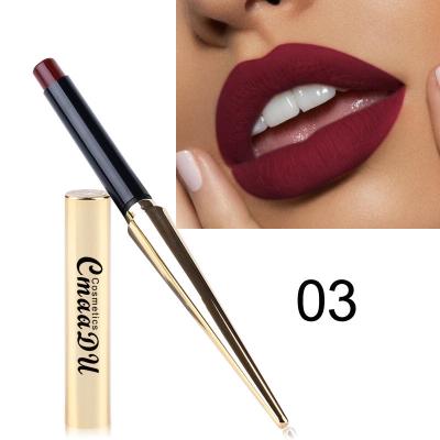 China NEW korean style tube organic vegan lipstick lipgloss waterproof velvet lipstick for sale