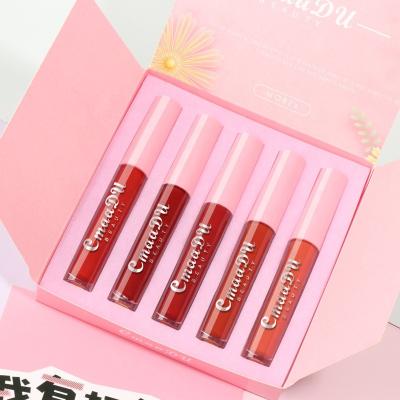 China HOT Make Up Private Label Liquid Lip Gloss Waterproof Lip Glaze set Lipgloss for sale