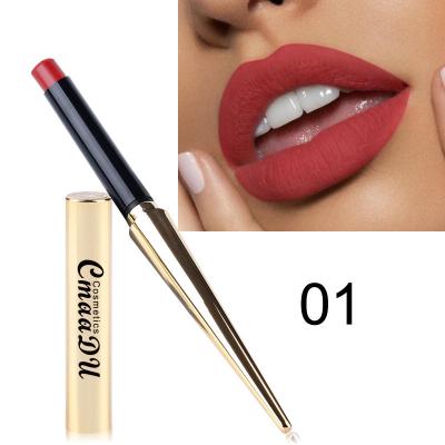 China 2021 new cosmetic logo printed luxury gold tube  makeup velvet long lasting waterproof  matte lipstick for sale