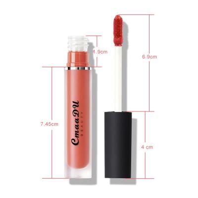 China new 8 Colors Matte Lipstick Wholesale Waterproof OEM Makeup Vegan Lip Gloss for sale
