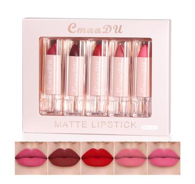 China 2021 New Product Lipstick Set Lip Gloss Matte Moisturizing Waterproof Longlasting Lip Gloss for sale