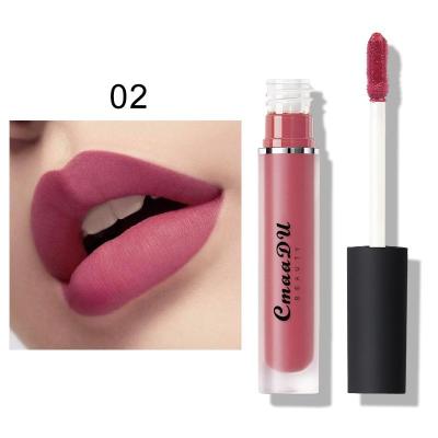 China 8 Colors Matte Lipstick Wholesale Waterproof OEM Makeup Vegan Lip Gloss for sale