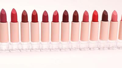 China 2021 New Wholesale Makeup Natural Matte Lipstick Vegan Cosmetic Waterproof Own Brand Custom Velvet Matte Lipstick for sale