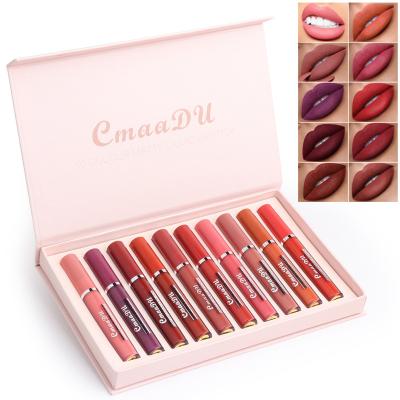 China 2021 Wholesale Waterproof Lip Gloss Liquid Lipstick Matte Velvet Lip Glaze Set for sale