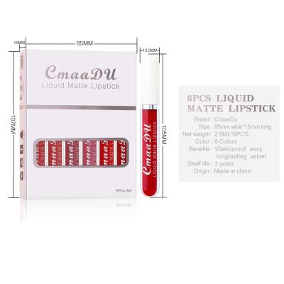 China Private Label Lip Glaze Nude Moisture Matte Lipgloss Long Lasting Liquid Lipstick for sale