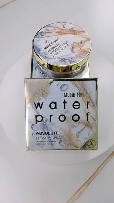 China New OEM Private Label  Waterproof Long Lasting Oil Control  Concealer Face Loose Powder for sale