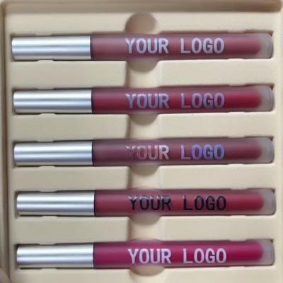China make your own brand matte pigment moisture liquid shimmer lipstick set for sale