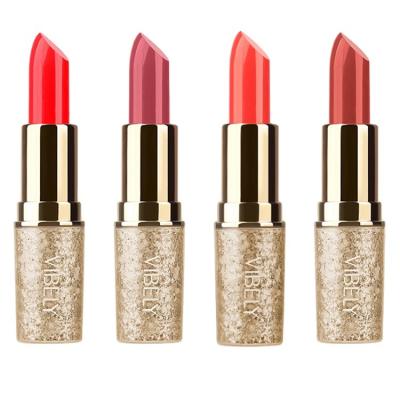 China Dropshipping 2021 fashion exclusive custom snow matte waterproof durable bullet lipstick for sale