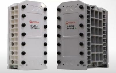 China 8.0m3/h Veolia MK-9 Suez EDI Stacks Boiler Feed Water For Power Plants for sale