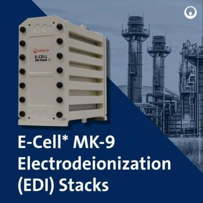China E-Cell MK-9 EDI Stack for High Purity Water Production with 18.5-44.0 GPM Flow Range and No Chemical Regeneration in Stainless Steel for sale