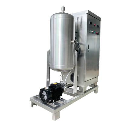 Cina attrezzatura di disinfezione dell'acqua 100g/h, macchina di trattamento delle acque dell'ozono in vendita