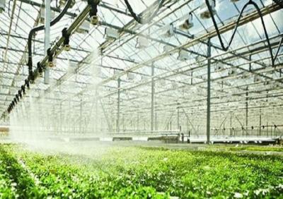 Cina 900000 sistemi di osmosi inversa di GPD per agricoltura in vendita