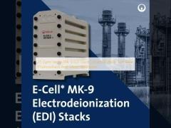 8.0m3/h Veolia MK-9 Suez EDI スタック ボイラー給水 (発電所向け)