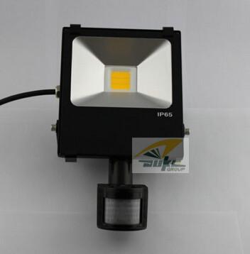 Cina bianco freddo d'abitazione LED di 20W PIR della PANNOCCHIA del sensore di inondazione del nero economizzatore d'energia della luce in vendita