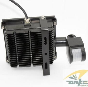 Cina Proiettore all'aperto del sensore 30W LED di PIR in vendita