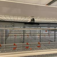 China H Type Automatic Broiler Chicken Cage with Efficient Feeding System for sale