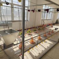 China Long Lasting Poultry Floor System with Automatic Feeders for Broilers for sale