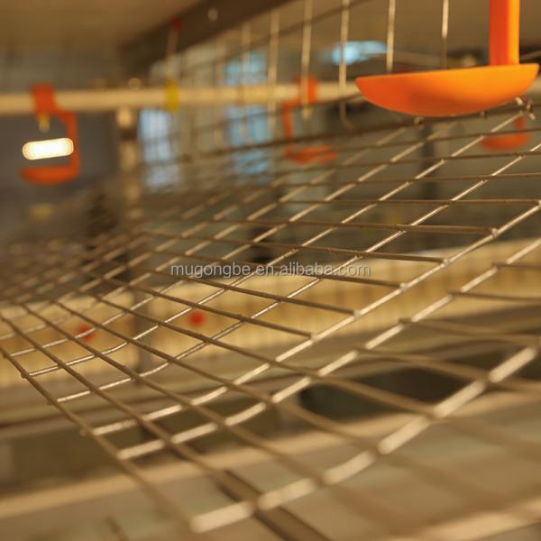 Quality Manufacturer Wholesale Durable Automatic System Battery Metal Broiler Chicken for sale