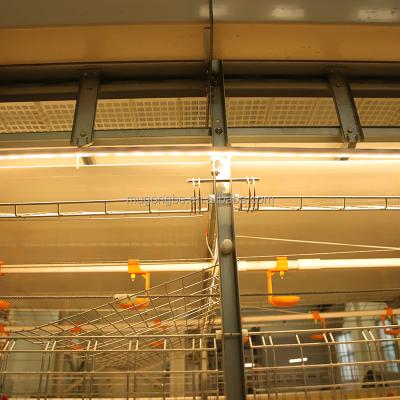 China Good Price New Product Advanced Automatic System Battery Broiler Chicken Cage for Commercial Farms for sale