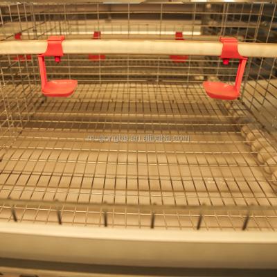China Hot Sales Low Cost Hot Dip Galvanized Baby Chick Cages With Automatic Equipments for sale